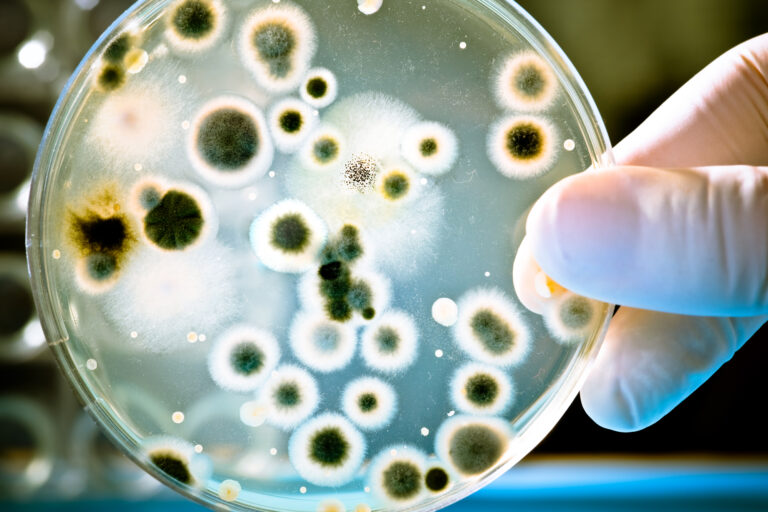 La microbiota de la piel - FarmaQuímicaSur - FQS